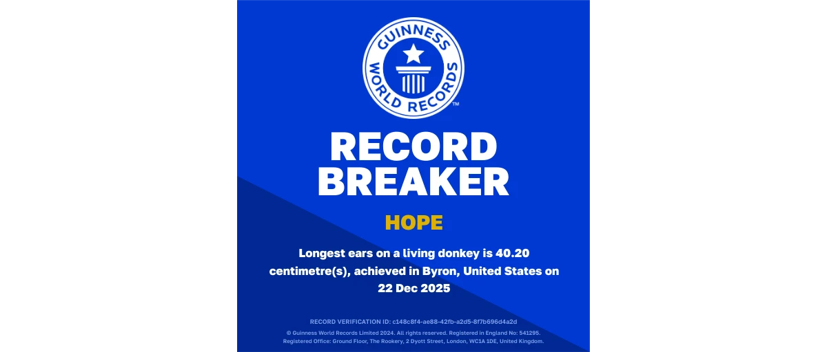 Check out HOPE's Digital Record Breaker Badge credential issued by ...